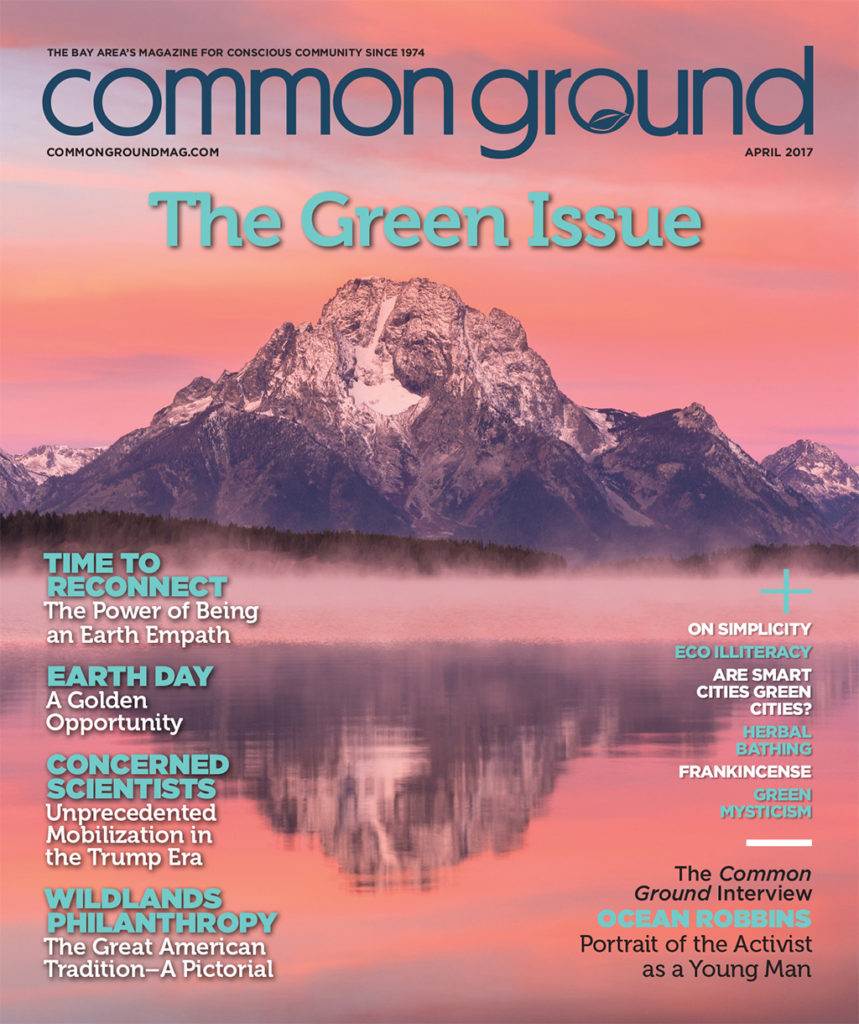 April 2017 - Common Ground Magazine
