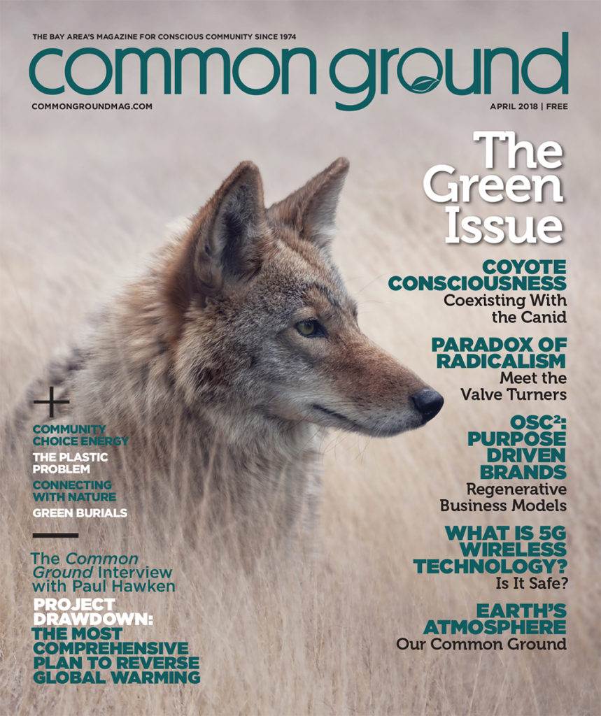 April 2018 - Common Ground Magazine