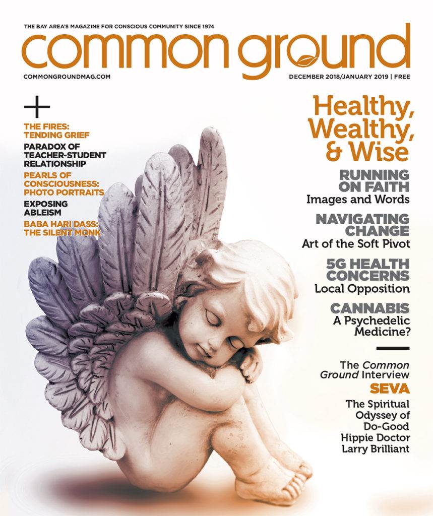 December 2018 / January 2019 - Common Ground Magazine