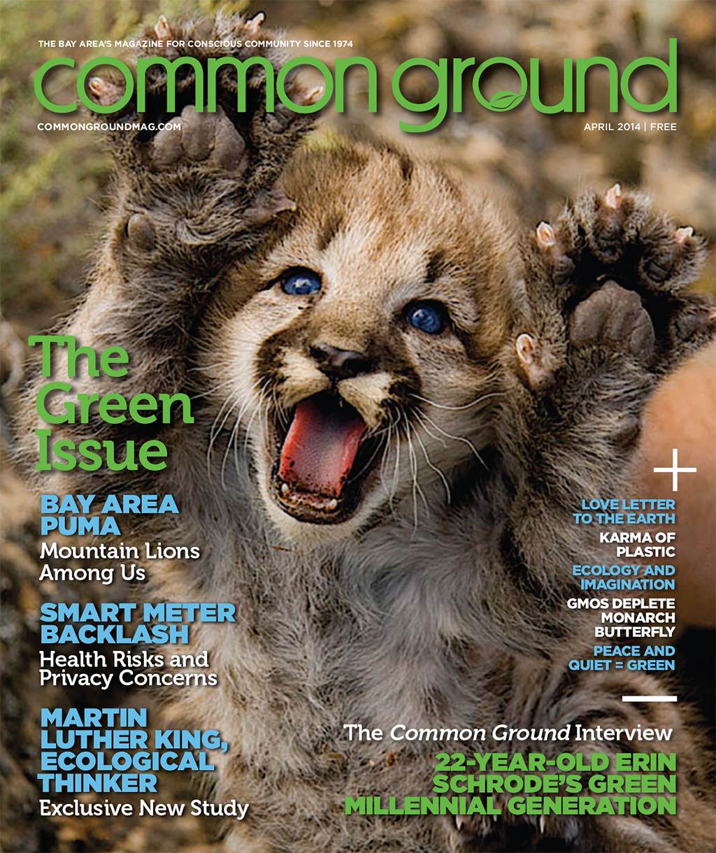 April 2014 - Common Ground Magazine